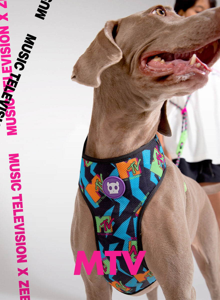 Mtv – Pet Fashion