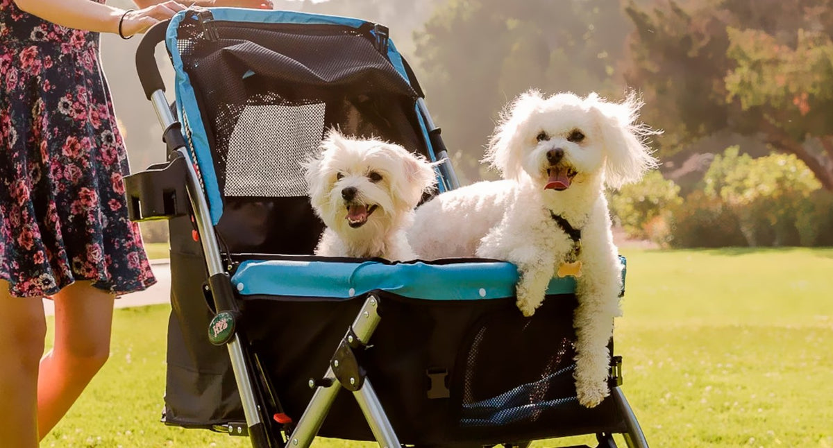 PET ROVER | Coches de alta calidad para perros y gatos – Pet Fashion