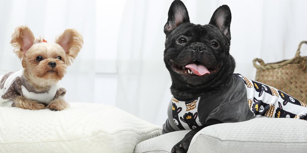 Ropa para Perros | Moda y Comodidad para tu Mascota – Pet Fashion
